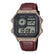 CASIO AE-1200WHL-5AV - D383 'Royale' – watchtopia.in