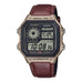 CASIO AE-1200WHL-5AV - D383 'Royale' – watchtopia.in